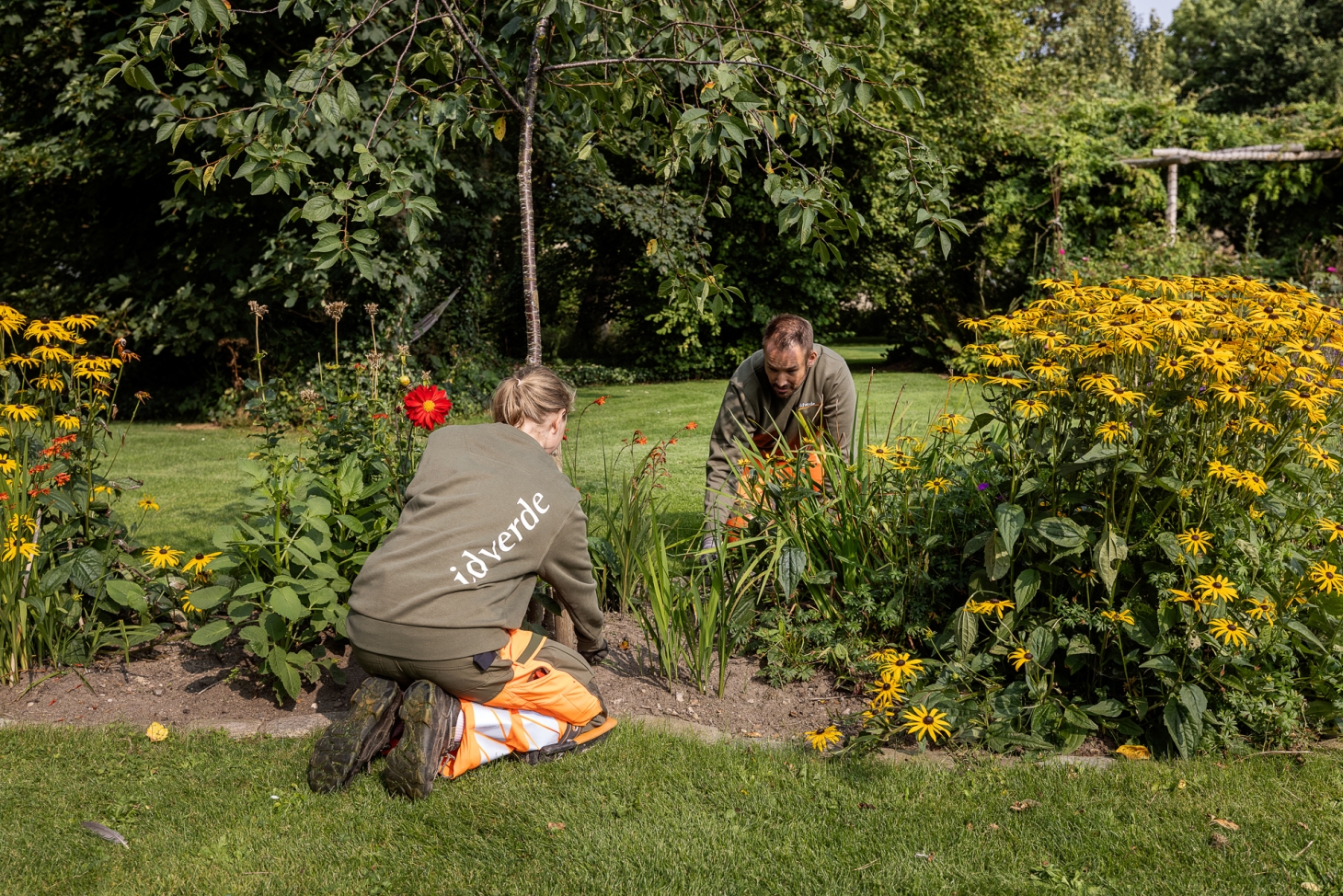 idverde | Udsyn mod arbejdsliv